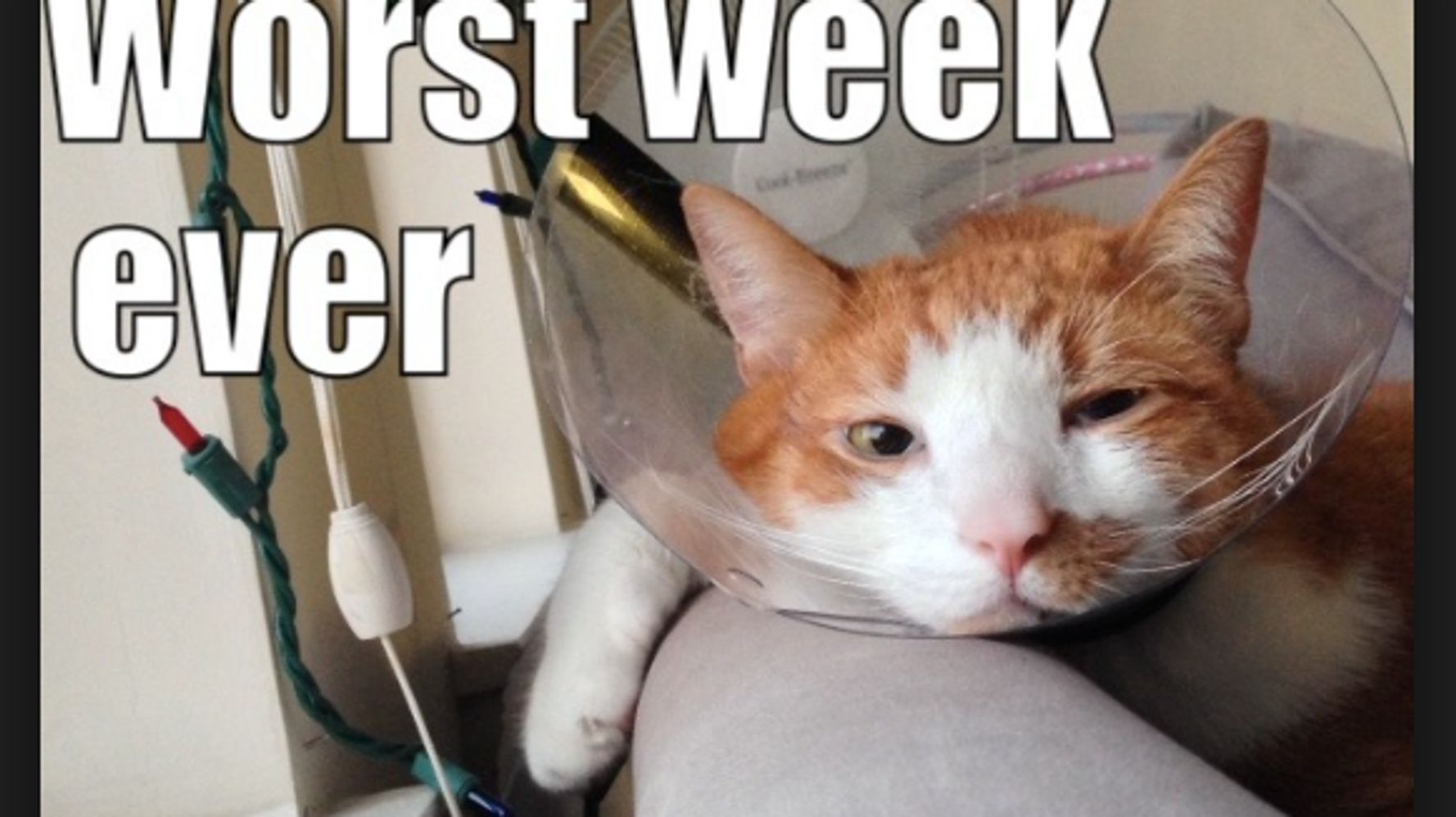 The Other Worst Week Ever | Hell onWheels/Life One Handed