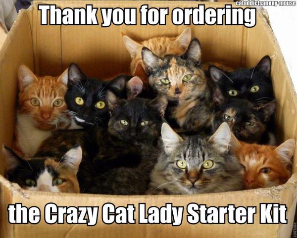 Crazy Cat Lady | Hell onWheels/Life One Handed